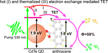 Triplet generation at the CdTe quantum dot/anthracene interface ...