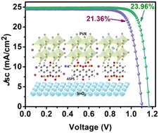 Multifunctional anthraquinone-sulfonic potassium salts passivate the buried interface for ...