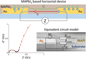 Ionic and electronic polarization effects in horizontal hybrid ...