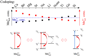 Mechanistic insights for regulating the site occupancy, valence states ...