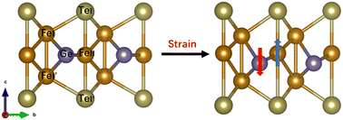 A strain induced polar metal phase in a ferromagnetic Fe3GeTe2 ...