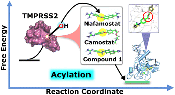 A quantum chemical study on the anti-SARS-CoV-2 activity of TMPRSS2 ...