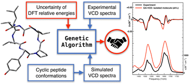 Simplified and enhanced VCD analysis of cyclic peptides guided by ...