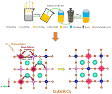 Understanding the polaron behavior in Cs2CuSbCl6 halide double ...