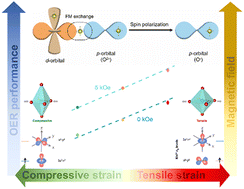 Enhanced oxygen evolution reaction via the tunability of spin ...