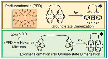 Intramolecular dimer formation reveals anomalous solvation within ...