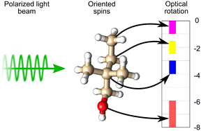 Characteristic nuclear spin-induced optical rotation in oxygen ...