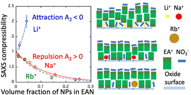 Ion specific tuning of nanoparticle dispersion in an ionic liquid: a ...