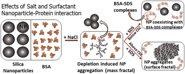 Competitive effects of salt and surfactant on the structure of nanoparticles in a binary system ...