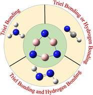 Exploring the electron donor–acceptor duality of B3N3 in noncovalent interactions - Physical ...