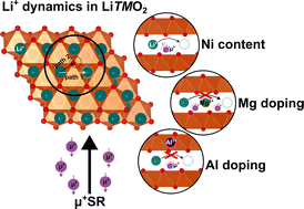 Elucidating local diffusion dynamics in nickel-rich layered oxide ...