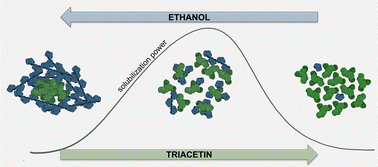 In-depth study of binary ethanol–triacetin mixtures in relation to ...