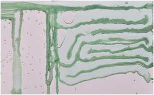 A microfluidic labyrinth self-assembled by a chemical garden - Physical ...