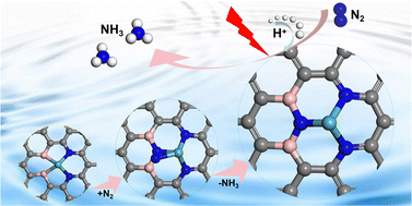 Molecular nitrogen induced structural evolution of single transition ...