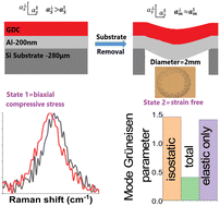 The elastic component of anisotropic strain dominates the observed ...