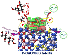 P-incorporated CuO/Cu2S heteronanorods as efficient electrocatalysts ...