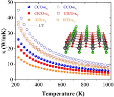 Investigation of the lattice thermal transport properties of Janus XClO ...