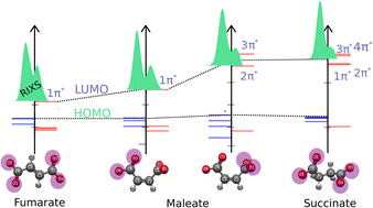 Electronic structure, bonding and stability of fumarate, maleate, and ...