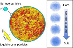 Exploring the interplay of liquid crystal orientation and spherical ...