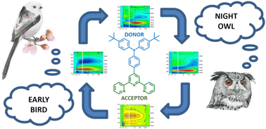 Early bird or night owl? Controlling the ultrafast photodynamics of ...