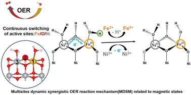 A multisite dynamic synergistic oxygen evolution reaction mechanism of ...