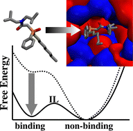 Solvent effects on extractant conformational energetics in liquid ...