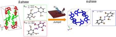 Releasing a bound molecular spring with light: a visible light ...