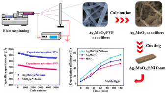 Novel electrospun bead-like Ag2MoO4 nanofibers coated on Ni foam for ...