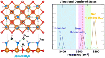 First principles simulations of MgO(100) surface hydration at ambient ...