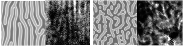 Phase textures of metal–oxide nanocomposites self-orchestrated by ...