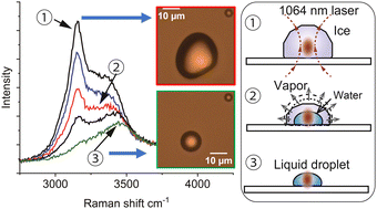 Melting of a single ice microparticle on exposure to focused near-IR ...