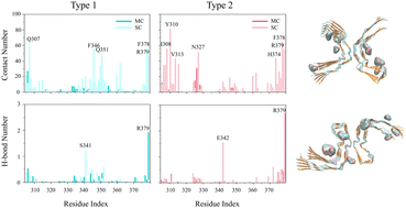 Molecular mechanisms involved in the destabilization of two types of R3 ...