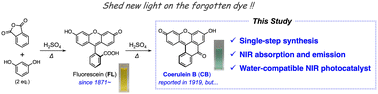 Coerulein B: a water-soluble and water-compatible near-infrared ...