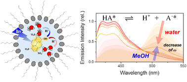 Anomalous proton transfer of a photoacid HPTS in nonaqueous reverse ...