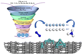 Transition metal small clusters anchored on biphenylene for effective ...