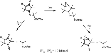 A novel method of alkoxyamine homolysis activation via photochemical ...