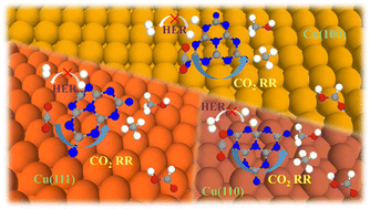 Composite interfaces of g-C3N4 fragments loaded on a Cu substrate for ...