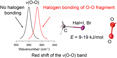 Dioxygen–halogen bonding exemplified by crystalline peroxosolvates of N ...