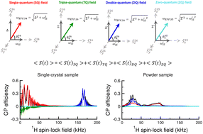 Unravelling the mechanism of polarization transfer from spin-1/2 to ...
