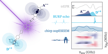 Control of excitation selectivity in pulse EPR on spin-correlated ...
