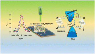 Enhancing saturable absorption in a Au-decorated MoS2/PEDOT:PSS ...