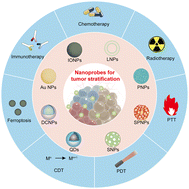 Nanoprobe-based molecular imaging for tumor stratification - Chemical ...