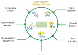 Enlightening dynamic functions in molecular systems by intrinsically ...