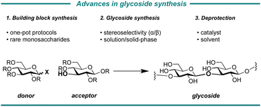 Advances in glycoside and oligosaccharide synthesis - Chemical Society ...