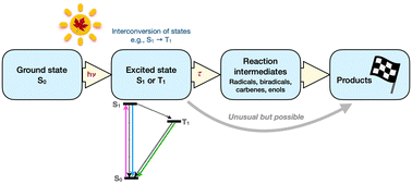 A beginners guide to understanding the mechanisms of photochemical ...