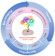 Mitochondria-targeted BODIPY dyes for small molecule recognition, bio ...