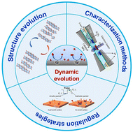 Dynamic evolution processes in electrocatalysis: structure evolution ...