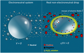 The emerging chemistry of self-electrified water interfaces - Chemical ...