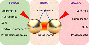 Plasmonic silver and gold nanoparticles: shape- and structure-modulated ...