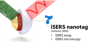 iSERS: from nanotag design to protein assays and ex vivo imaging ...